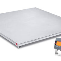 Defender 3000 Floor Scale with Indicator - Brady Systems